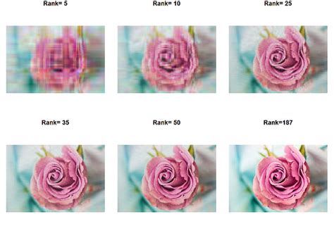 image compression using svd this document contains a guide on image