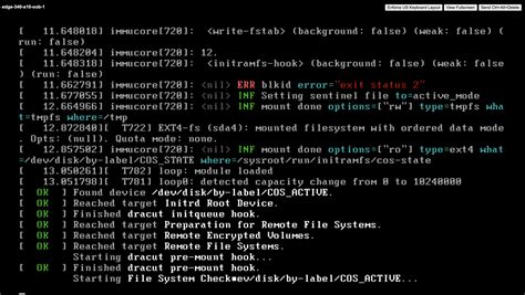Errors On Boot Of A Derivative After Upgrade From Kairos 15 To 203