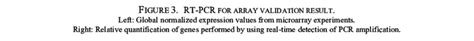 Rt Pcr For Array Validation Result Left Global Normalized Expression Download Scientific