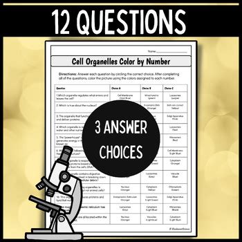 Cell Organelle Color By Number By Bluebonnet Science TPT