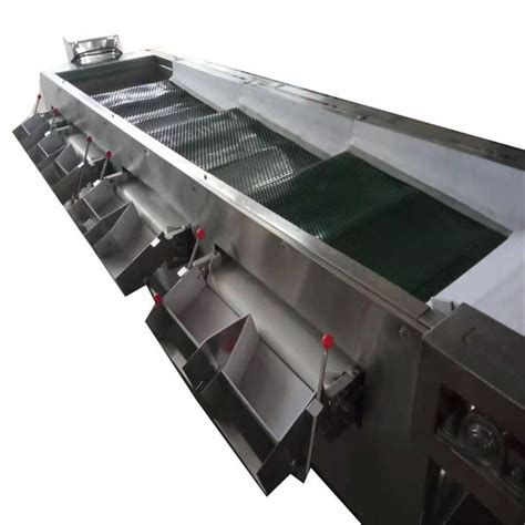 china customized longan grading machine suppliers manufacturers