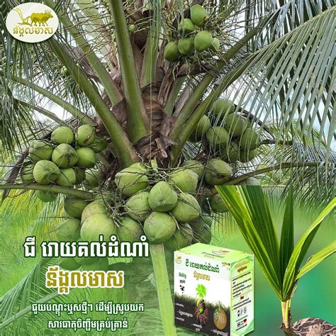 ជីកសិកម្ម កសិករខ្មែរ