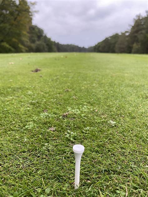 Lessons From The Masters — Meg Lyons Life Balance Coach Helping Busy Mid Career Women