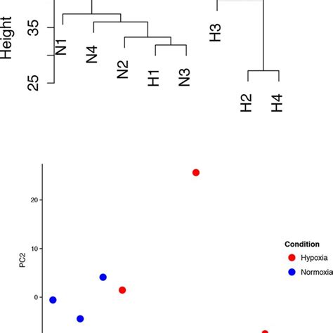 Hierarchical Clustering Top Panel Hierarchical Clustering Of Gene Download Scientific Diagram
