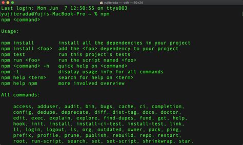 Install Aws Amplify Cli With Npm Apicli