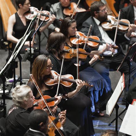 String Section In Orchestra Stock Image F004 4649 Science Photo Library