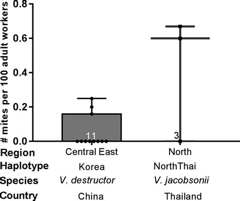 Infestation Rates Of Apis Cerana Adult Worker By Varroa Destructor Download Scientific Diagram