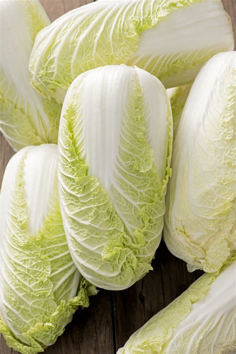Cabbage Chinese China Coast F1 Hybrid Egmont Seeds