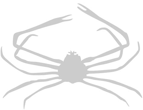 Crab 36654187 Vector Art At Vecteezy