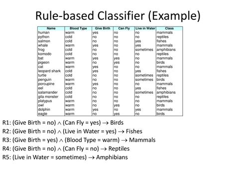 ppt ch5 data mining classification alternative techniques powerpoint