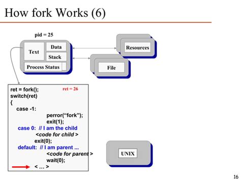 fork system call in the main concept ppt