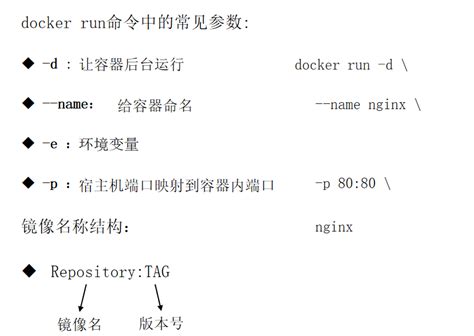 docker 快速入门 csdn博客