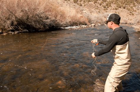 How To Nymph Fish A Complete Beginner S Guide