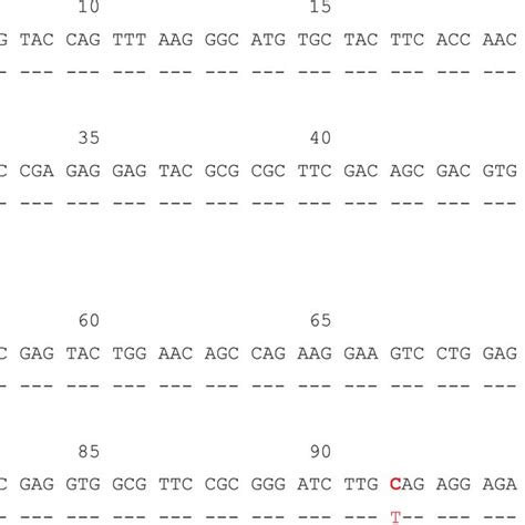 alignment of the sequence of exon 3 of hla‐c 15 02 01 01 with the