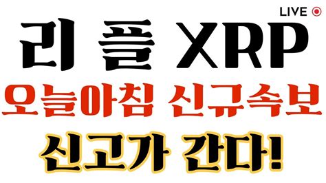 리플 코인 오늘 아침 신규속보 리플 Xrp 신고가간다 리플목표가 리플호재 리플전망 리플코인목표가 리플코인호재