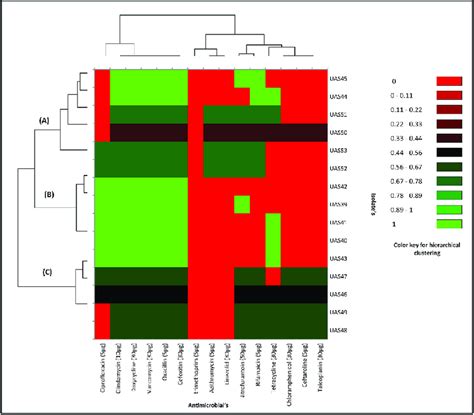 heatmap showing hierarchical clustering of isolates antibiotic