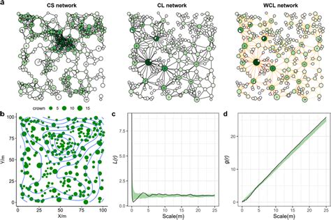 A Three Types Of Networks Cs Competition For Space Cl Competition