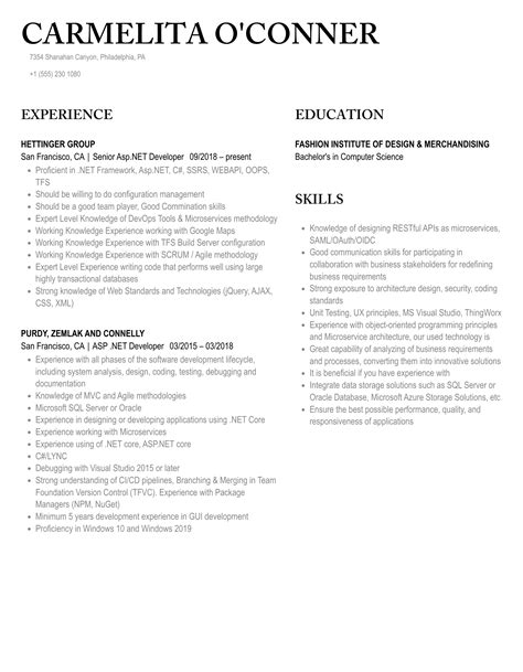 Asp NET Developer Resume Samples Velvet Jobs