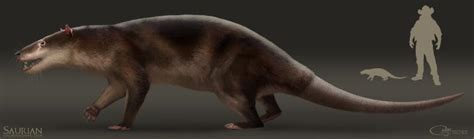 Didelphodon Saurian Wikia Fandom Powered By Wikia