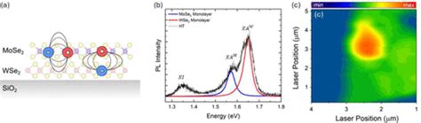 Interlayer Excitonphonon Coupling In Mose2wse2 Heterostructures Nano Letters