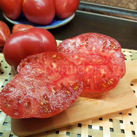 Купить семена томата сорт Кантати 4 Cantati 4