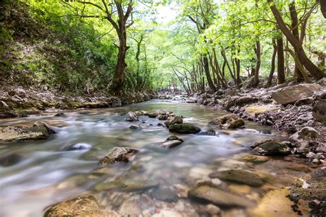 River Rocks Forest Free Photo On Pixabay Pixabay