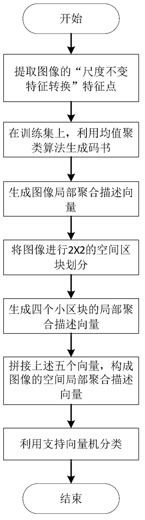 spatial local clustering description vector based image classification