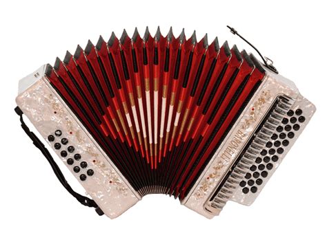 Baronelli Ac3112stg Wh Full Size 31 Button Accordion Gcf Camposmusic