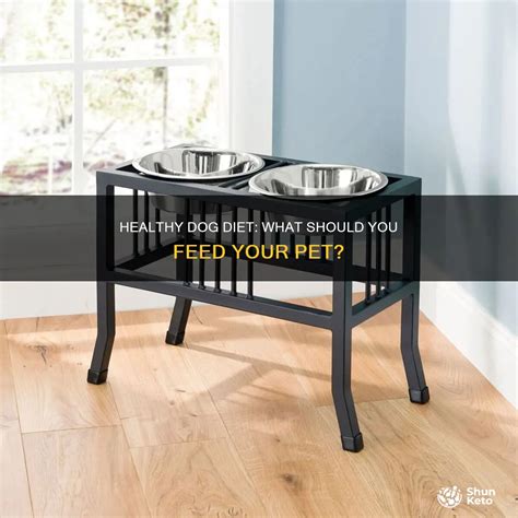 Healthy Dog Diet What Should You Feed Your Pet Shunketo