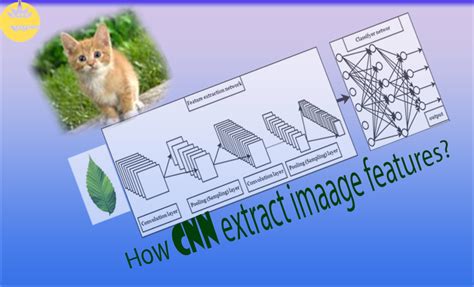 How Convolutional Neural Network Extract Features Ethiop Site