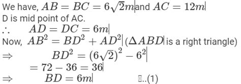 Class 10 Maths Chapter 8 Case Based Questions Introduction To Trigonometry