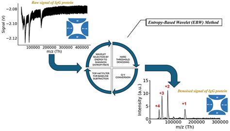 Optimization Of The Entropy Based Wavelet Method For Removing Strong Rf And Ac Interferences In