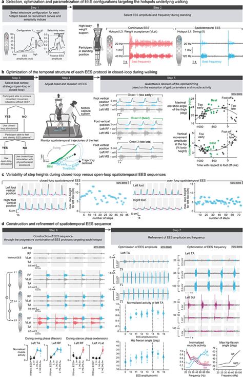 Configuration Of Spatiotemporal Ees To Enable Walking A Spatial Download Scientific Diagram