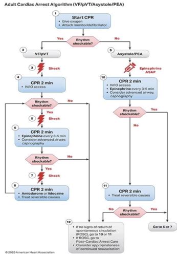 ACLS Pearls Flashcards Quizlet