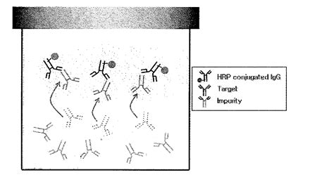 Affinity Separation By Partition Enhancing Material Conjugated Biomolecules In Aqueous Two Phase