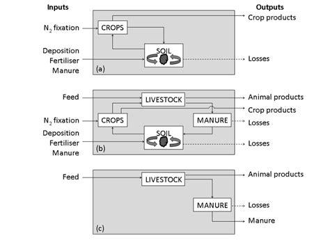 Schematic Showing Basic Nutrient Inputs And Outputs Of Three