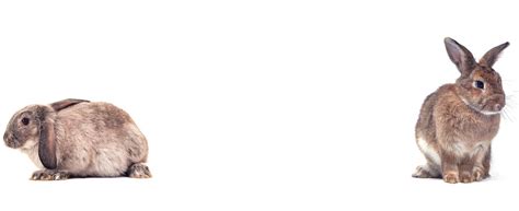 Babe People Are Having Less Sex The Atlantic