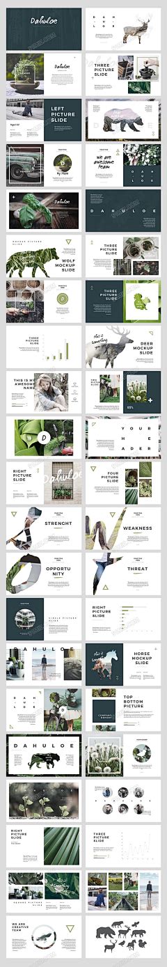 Ppt 花瓣网 陪你做生活的设计师 Ppt背景 Ppt排版 Ppt设计 Ppt目录 Ppt图标 Ppt模板下载 Ppt模版 Ppt模板设计 Ppt素材 Ppt背景图 Ppt背景素材 Ppt