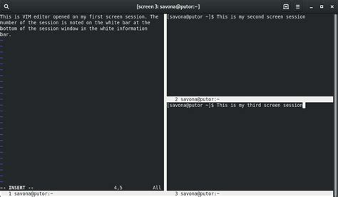 Screen Command Beginners Guide To Terminal Multiplexing Putorius
