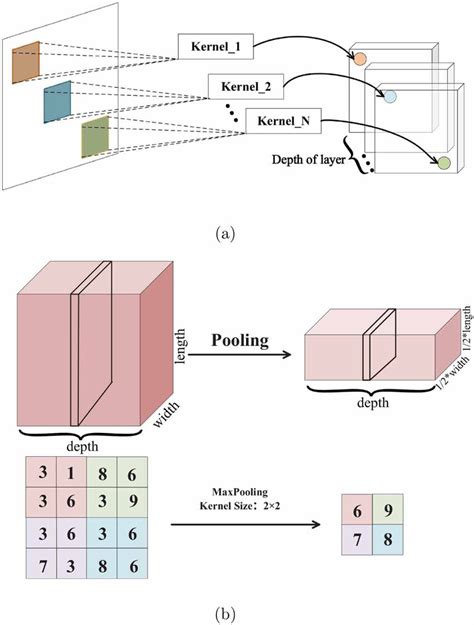 Illustration Of The Convolution Operation And Pooling Operation In Cnn