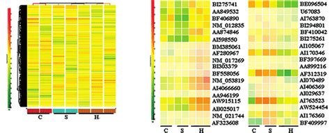 Hierarchical Clustering Analysis Of All Affymetrix Oligonucleotide Download Scientific Diagram