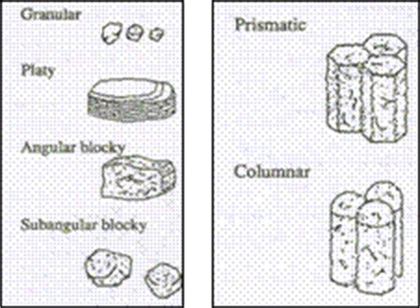 Certified Crop Advisor Study Resources Northeast Region