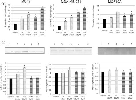 the effect of 72 h incubation with indoles on the level of the nqo1