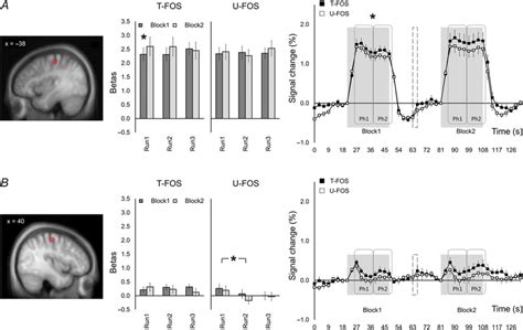 mean task related activity and time courses of mean signal intensity