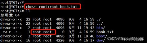 Linux 修改文件文件夹的权限 Chown 与 Chmodchmod Chown Csdn博客