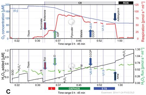 High Resolution Respirometry For Simultaneous Measurement Of Oxygen And