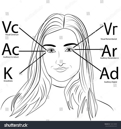 Nlp Neuro Linguistic Programming Lie Detection Stock Vector Royalty Free 742513699 Shutterstock
