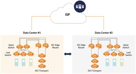 Ip Infusion Ocnos Pine Networks