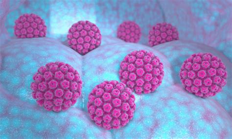 Gsk Drops Phase 2 Hpv Vaccine Over Lack Of Best In Class Potential